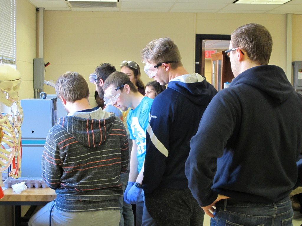 Biomedical Engineering » Research Opportunities