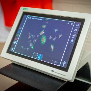 Biomedical Engineering