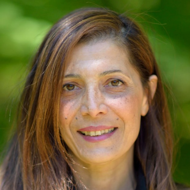 Biomedical Engineering » Core Faculty